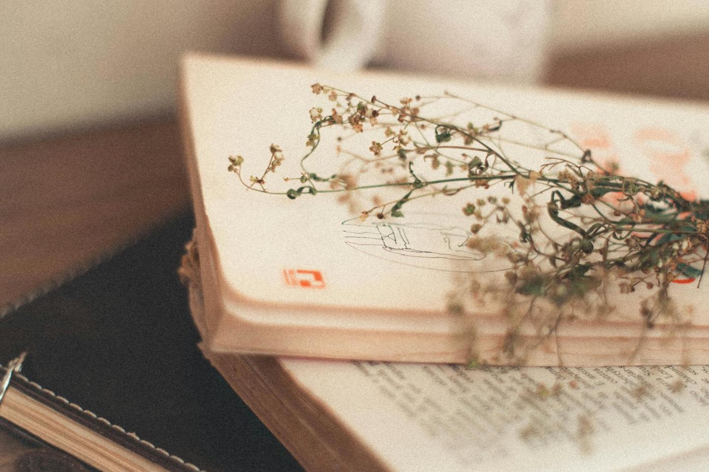 How to Analyse Unseen Poetry for GCSE: A Step-by-Step Guide – AC studies